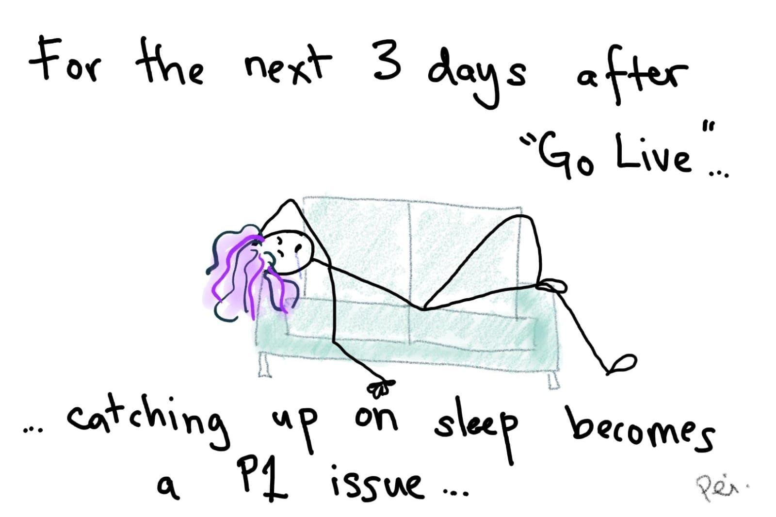 It has really felt like a proper project “Go Live” – Zenhao Training